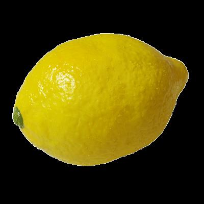 Super Real Latex Lemon - Trick Leading Online Magic Shop